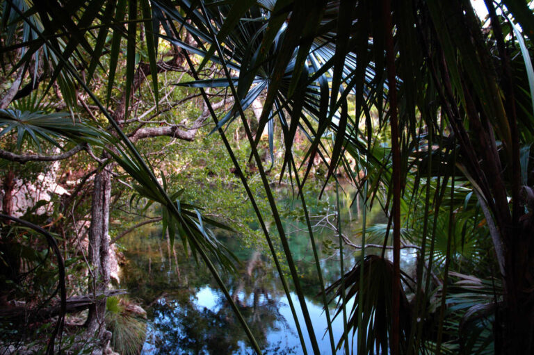 10 activities to do in Xel-Há - Riviera Maya