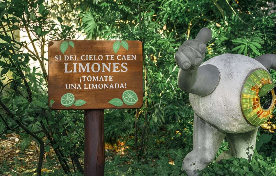 Complete travel guide to Xenses park - Riviera Maya